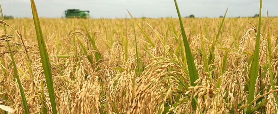 Polychemex (Pvt) Ltd